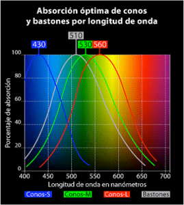 Visión del Color - Conos y Bastones del Ojo - Foucault S.A.
